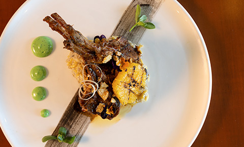 Davino - Italian Restaurant in Cancun | Villa del Palmar Cancun